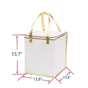 13.8×13.8×15.8 Reusable Insulated Zipper Aluminum Foil Tote Bag Suit for Picnic Cake Fruit Drink Refrigeration Also for Delivery of Takeaway Thermal Pizza Insulated Delivery(2Pack White)