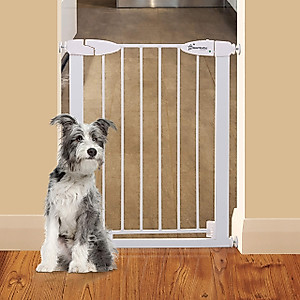 Dreambaby Boston Magnetic Auto Close Baby Gate - Indoor Safety Gates - Fits Opening from 24.25-26.5inch Wide & 29inch Tall - with Smart Stay Open Feature - White
