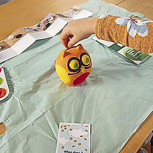 Fat Brain Toys Surprise Ride - Paint an Owl Bank Activity Kit - Craft Project, 5+