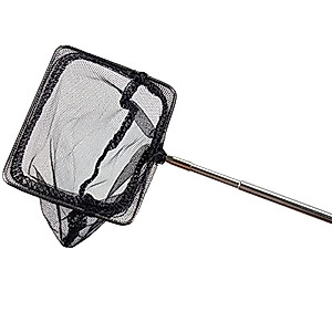AQUANEAT Fish Net Aquarium,Fish Tank Net,Aquarium Net with Extendable Long Handle (5 Inch)