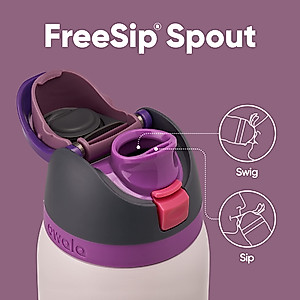Owala FreeSip Insulated Stainless Steel Water Bottle with Straw for Sports, Travel, and School BPA-Free Sports Water Bottle, 24 oz, Dreamy Field