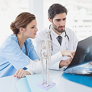 ASINTOD 17" Mini Size Skeleton Model, Anatomy Medical Human Skeleton Model for Study, Teaching and Display Anywhere, Scientific Human Skeleton Model with Movable Arms and Legs