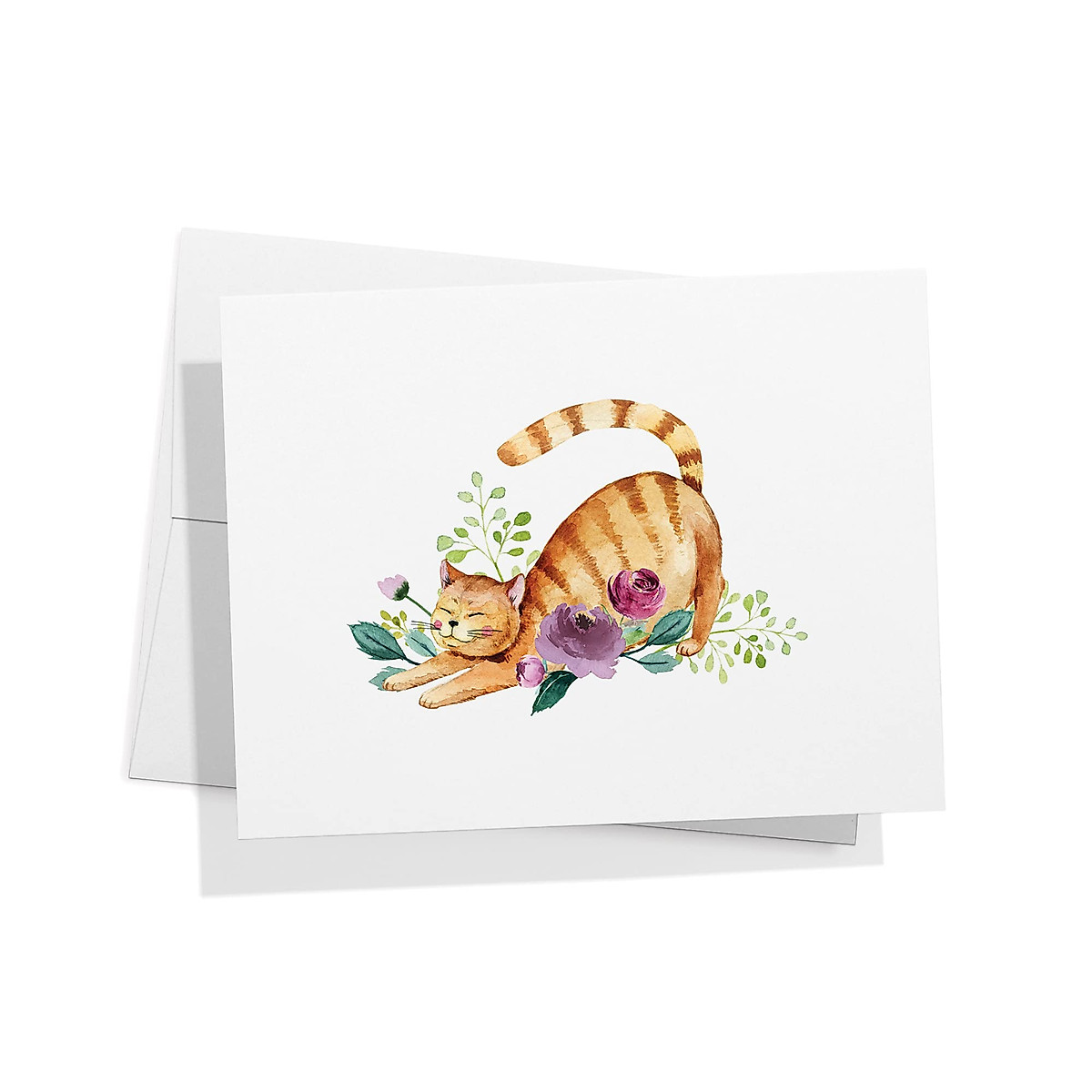 Twigs Paper - Assorted Cat Greeting Cards - Stationery Cards with Envelopes - Thank You Card - Blank Note Cards - Greeting Cards for All Occasions - Made in USA (5.5 x 4.25, Set of 12)