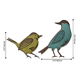 Sizzix Thinlits Die Set 6 Pack , Feathered Friends by Tim Holtz Cutting dies, Multicolor