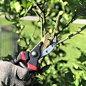 Mr. Pen- Pruning Shears, Garden Shears, 8" Professional, Garden Scissors, Gardening Shears, Garden Clippers, Bypass Pruners, Garden Shears Pruning, Pruning Scissors, Garden Tools, Garden Supplies