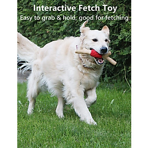 SCHITEC Dog Chew Toy for Aggressive Chewers, Tough Big Nylon & Rubber Teething Stick with Real Bacon Flavor for Large Medium Breed