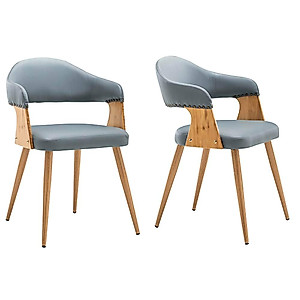 Warehouse of Tiffany Tadala PU Leather & Wood Arm Open Back (Set 2) Dining Chair, One Size