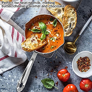 Butter Coffee Milk Warmer Mini Butter Melting Pot, Stainless Steel Hot Milk Pot Chocolate Boiled Sugar Cheese Butter Melting Pot with Dual Pour Spouts