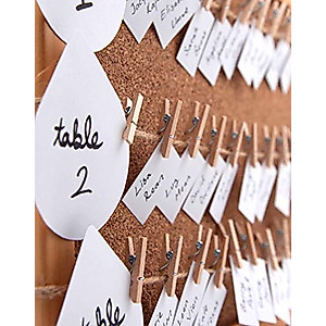 Mini Clothespins | 250 Pieces Mini Clothespins with 65 Feet of Jute Twine | 1-Inch Natural Wooden Clips for Decorations and Gifts by Voatation