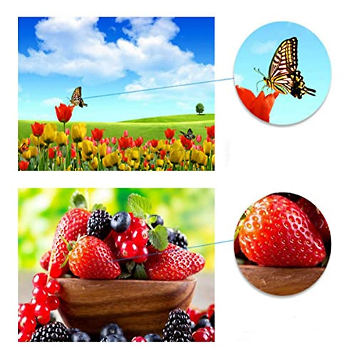 SPLENDIDCOLOR Remanufactured B5 Toner Replactment for OCE 25001843 OCE B5 OCE 9600 TDS300 TDS400 TDS600 Printer.(2 x B5 Toner and Waste)