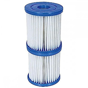 POOL FILTER CARTG I 2PK