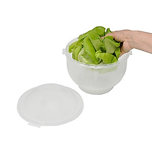 Lettuce Keeper | Vegetable and Fruit Crisper | Lettuce Crisper Salad Keeper Container Keeps your Salads and Vegetables Crisp and Fresh-7" X 8"- by Home-X