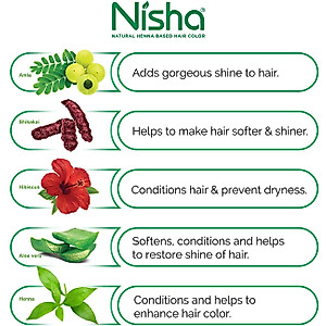 Nisha Henna Based Color Dye For Hair (0.35 Ounce (Pack of 10), Natural Black)