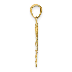 Solid 14k Yellow Gold Diamond-cut RN Registered Nurse Nurse Pendant Charm 24mm