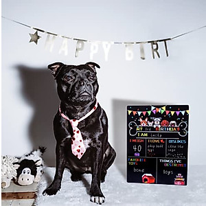 Reusable Dog Birthday Party Supplies, Double Sided Chalkboard for Dog Girl First Birthday, Dog Birthday Backdrop Props, Gift for Cat Party Decorations, Size 10"*12"