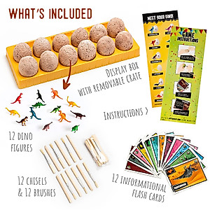 Dino Eggs Dig Kit, Dinosaur Eggs for Kids 3-5, Perfect for Dinosaur Birthday Party Supplies and Dinosaur Party Games - 12 Dino Eggs Excavation Set for Kids by JitteryGit