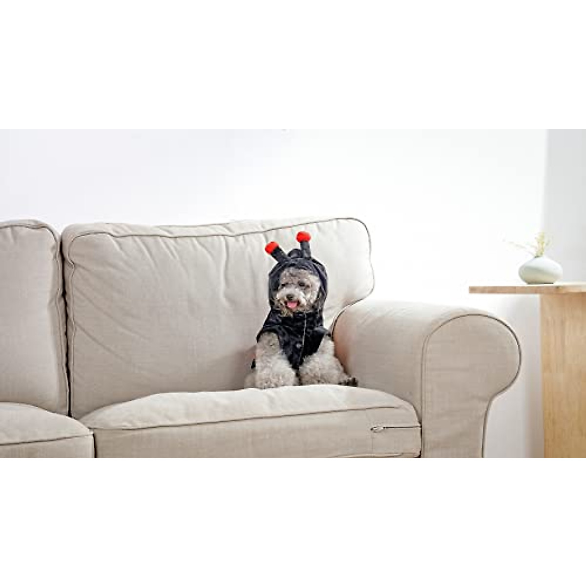 Mogoko Ladybug Dog Costumes, Pet Halloween Cosplay Hoodies, Adorable Ladybird Cat Costume,Animal Fleece Hoodie Warm Outfits Clothes