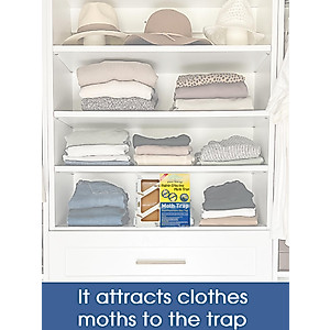 Effective Dual Moth Traps for Clothes and Pantry - Safe and Odor-Free Solution - Premium Pheromone - Pack of 4