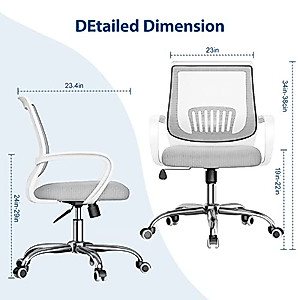 PPW Office Chair,Ergonomic Dual Backrests,Desk Chair Back Support, Best Office Chair for Posture, Mesh Office Chair,(Cushion is Light Gray)