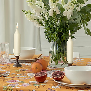 NJAO HOO Ivory Short Taper Candle 5 Inch Candlesticks Unscented Dripless Tapered Candle Set for Home Decor Wedding Party Dinner Candles, 4 Pack