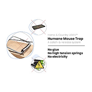 Home and Country USA Humane Mouse Trap - Our Mouse Traps are designed as a live mouse trap for those who want to quickly and easily remove a mouse the right way. (2)