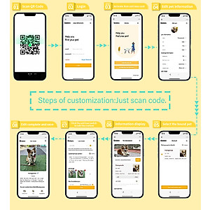 18K Gold Cat Dog Collar Kitten Puppy Stainless Steel Kitten Choker Curb Chew proof Cuban Link Chain with Gold Bell&Personalized custom QR Code Bone Tag