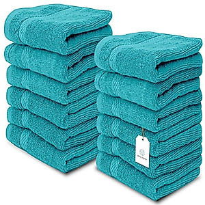 White Classic Luxury Cotton Washcloths | 12 Pack Luxury Bath Mat | 2 Pack Bundle (Aqua)