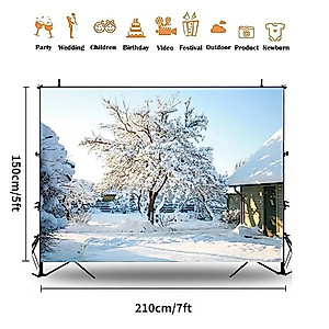 House Garden Trees Covered Snow A Cold Sunny Winters Day Clear Blue Photography Backdrop Photographer Portrait Banner Photo Studio Photobooth Prop Photography Background Decoration Supplies 7×5ft