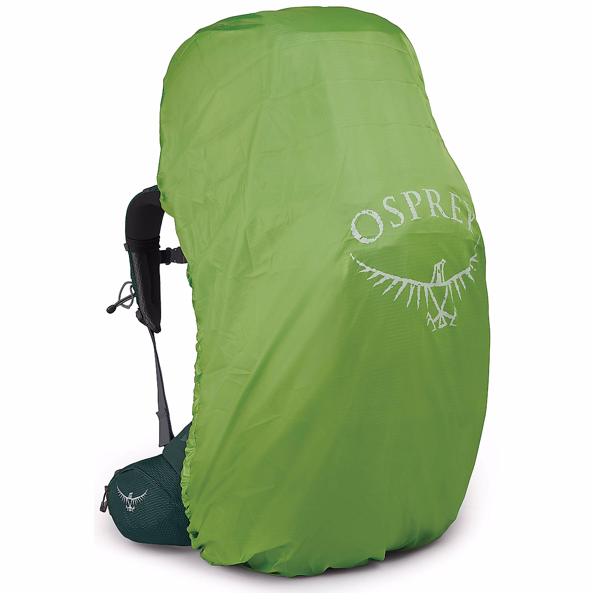 Osprey Aether Plus 100L Men's Backpacking Backpack, Axo Green, Small/Medium