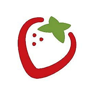 Health Beet Portion Plate for Kids, Toddlers - Rectangle Kids Plate with Dividers and Nutrition Portions for Healthy Eating Habits (Single Plate)