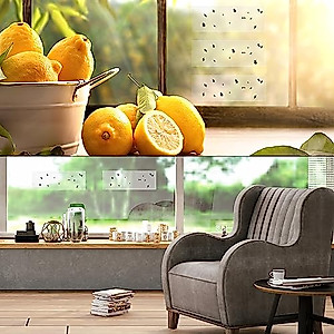 Faicuk 20-Pack Clear Window Fly Traps Sticky Fly Strip for Indoor Houseflies Nontoxic and Pesticide-Free