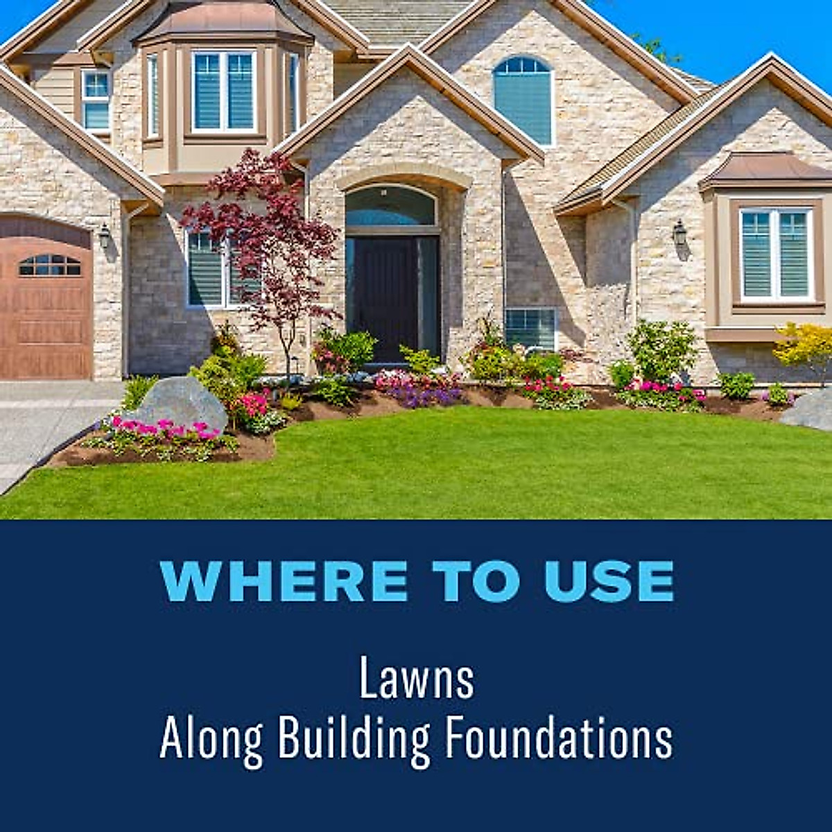 BioAdvanced Complete Insect Killer for Soil and Turf, Ready-to-Spray, 32 oz