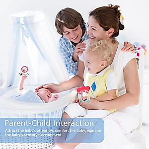 DAMEING Baby Rattle Teething Toys, Infant Sensory Teethers Toy Set, Musical Shaker Grab and Spin Early Educational Newborn Toys for 0 3 6 9 12 Months Babies Boy Girl