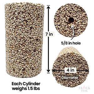 Flock Fuel Safflower Wild Bird Seed Cylinder 2 Pack Bird Seed for Outside Birds