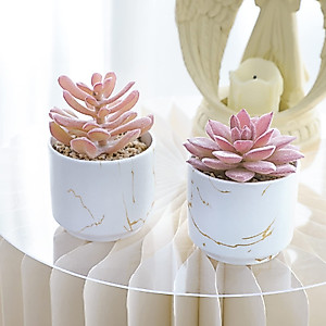 CEWOR 2pcs Succulents Plants Artificial Pink Office Decor for Women, Fake Succulents in Ceramic Pots, Fake Plants for Bathroom Desk Home Decoration Office Supplies