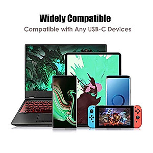 PLUSPOE USB C to Slim Tip Adapter, Convert Lenovo Square Charger to Type C, for Lenovo Thinkpad, Samsung S8/S9/Note, Nintendo Switch, and Any USB C Devices, Max 65watt