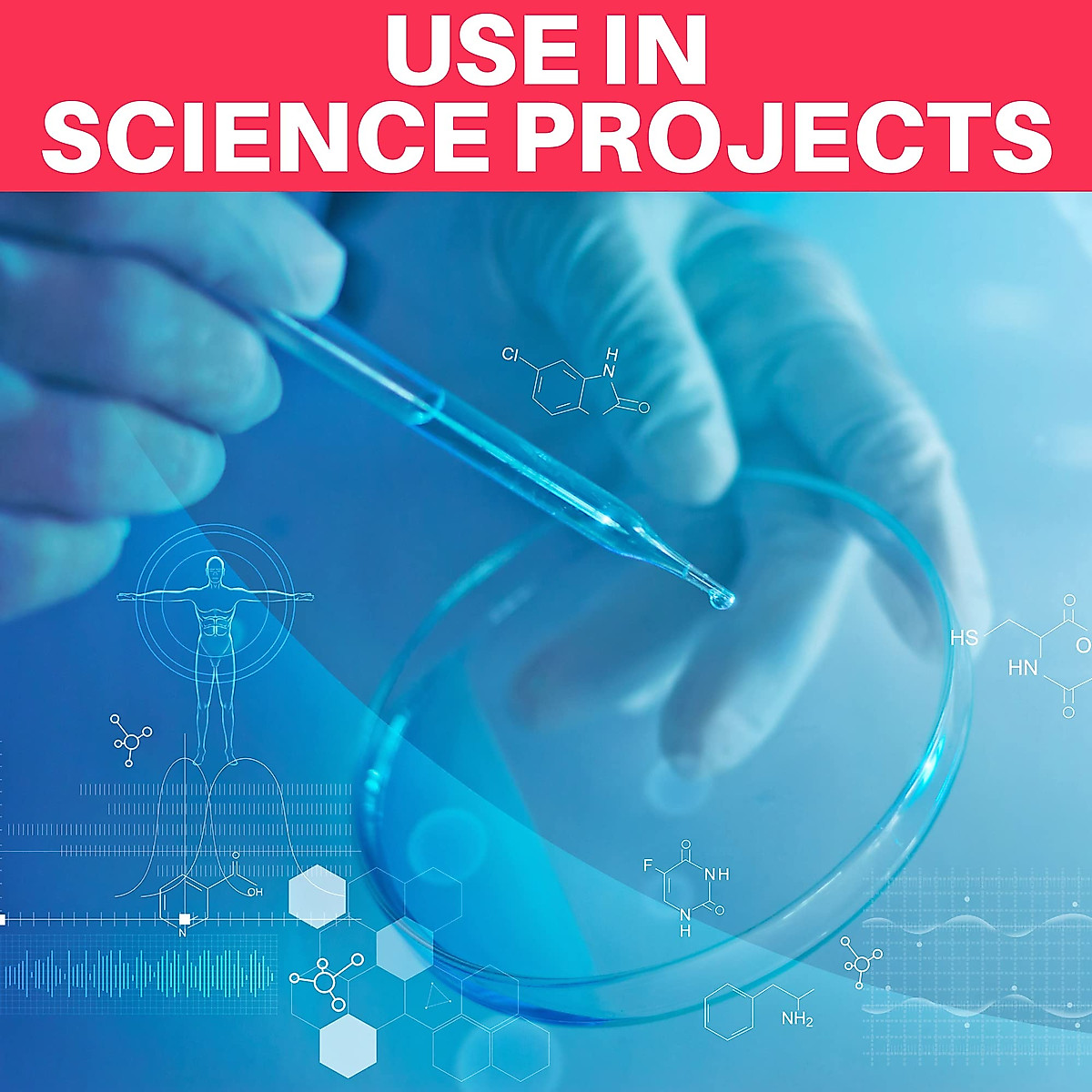 Yeast Peptone Dextrose (YPD) Agar Plates - Evviva Sciences - Great for Yeast Cultivation - 10 Prepoured YPD Petri Dishes - Great for Science Projects