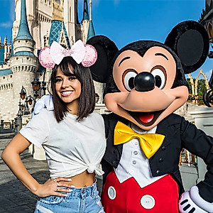 FANYITY Mouse Costume Ears,1 Pcs Mouse Ears Headbands for Girls & Women Party,Size Free