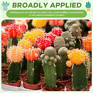 Yaomiao 200 Pcs 2 Inch Red Mini Plastic Plant Pot Nursery Seedling Pots Seed Starter with Drainage Holes for Indoor Outdoor Garden Succulent Plants Cuttings Transplanting