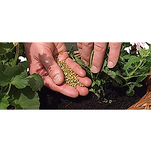 Orchid Nerd ® Osmocote Classic Flower and Vegetable Smart-Release Plant Food, 15 oz (14-14-14 Plant Fertilizer)