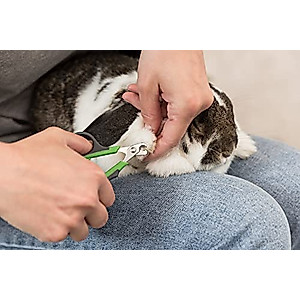 TRIXIE Pet Grooming Nail Clippers, for Small Dogs, Cats, Small Animals, and Birds, 3" (8cm)