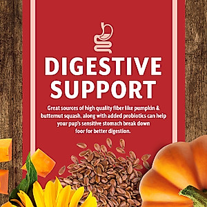 Venture Smoked Wild Boar & Butternut Squash Limited Ingredient Dry Dog Food