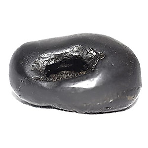 Sesha Shaligram/Shesha Salagram - Nepal