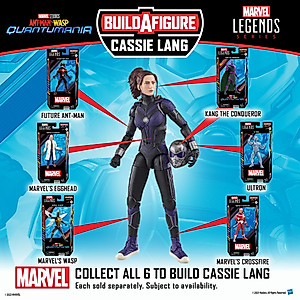 Marvel Legends Series Future Ant-Man, Comics Collectible 6-Inch Action Figures, Ages 4 and Up
