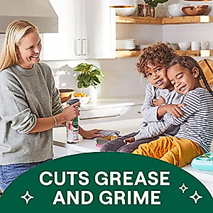 Seventh Generation All Purpose Cleaner, Degreasing Formula, Fresh Morning Meadow Scent, 23 oz (Pack of 4)