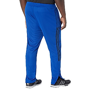 adidas Men's Tiro 21 Track Pants, Team Royal Blue/Black, Large