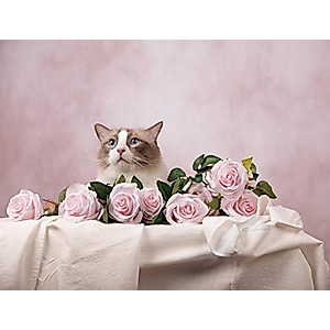 Kate 5x7ft Retro Portrait Backdrop Abstract Pink Backdrops for Valentine's Day Photography Studio Backgrounds