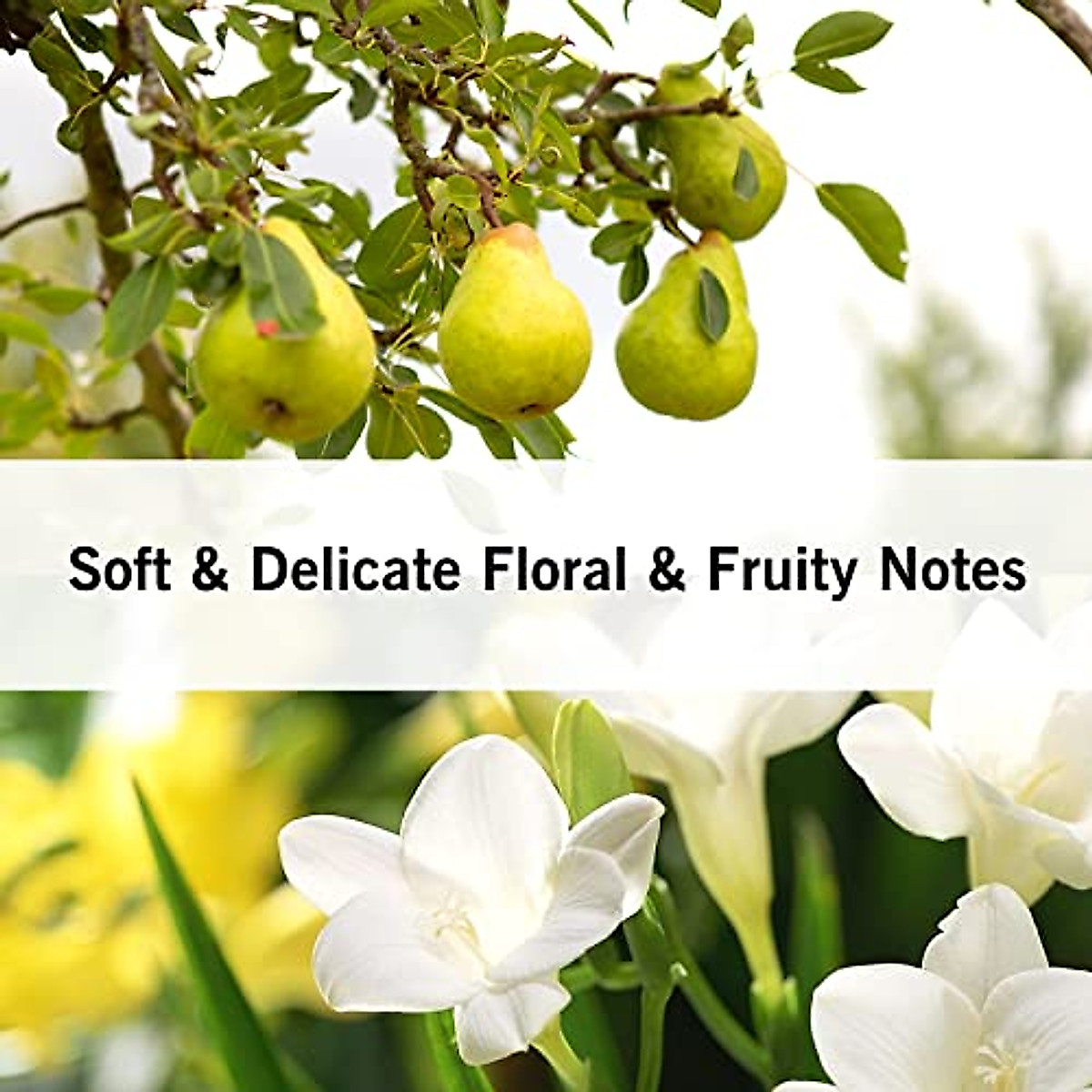 English Pear & Freesia Scented Candle Jar for Home Room Decor Air Freshener Premium Soy and Coconut Blend Ideal as A Congratulatory Gift- Over 50 Hours of Burn Time - 7 oz