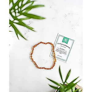 Ambercalm Baltic Amber Necklace - Raw Unpolished Amber Baroque w/Certified Genuine Baltic Amber Cognac 12.5 Inches