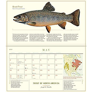 Trout of North America Wall Calendar 2021